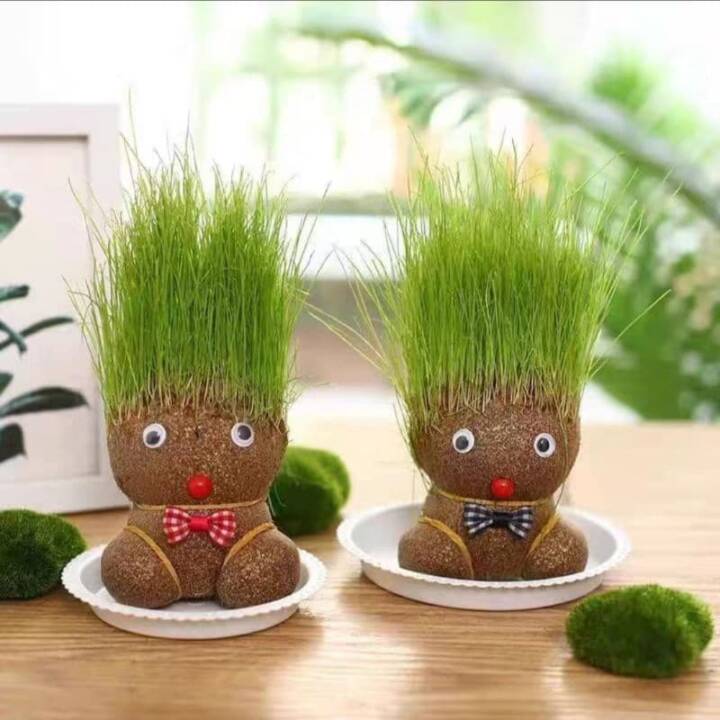 Cómo hacer muñecos con pelo de césped creciente - Verde Edén