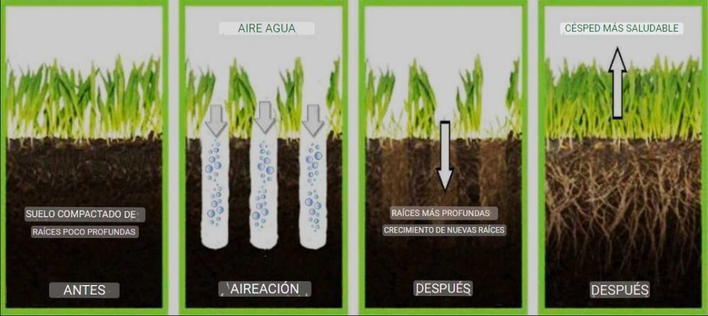 Aeración de césped: Beneficios y métodos - Verde Edén