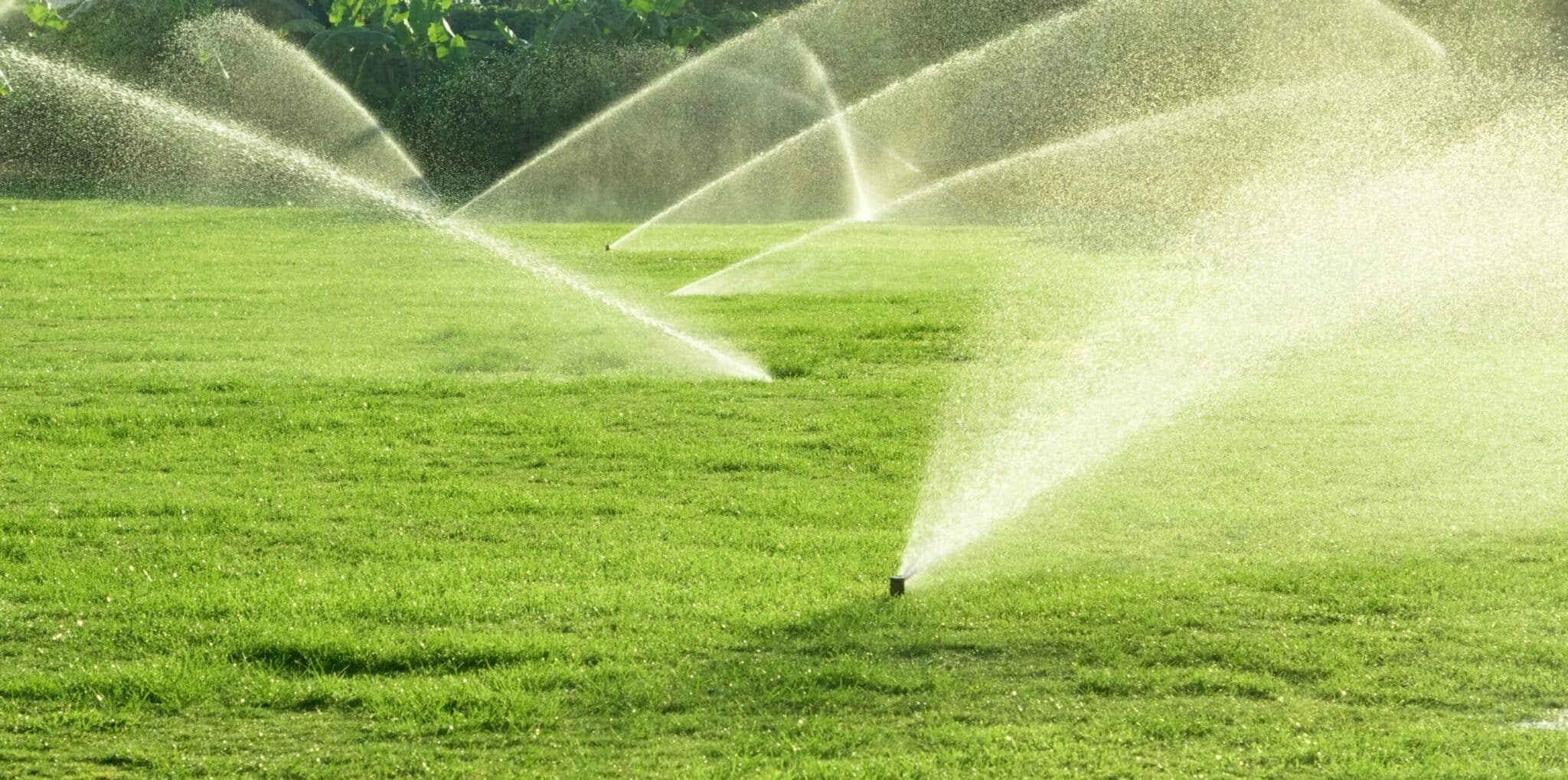 Cómo instalar un sistema de riego por aspersión enterrado - Verde Edén