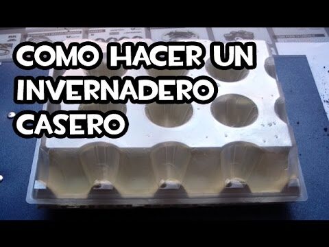 6 mini invernaderos fáciles y baratos de hacer - Verde Edén